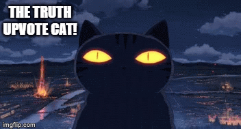 The Truth Upvote Cat!! - Imgflip