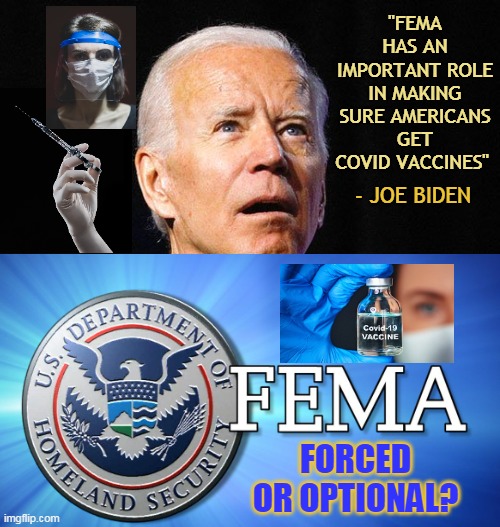 Fema Memes Disasterology: September 2023 By Samantha Montano