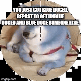 YOU JUST GOT BLUE DOGED - Imgflip
