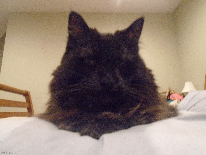 Yet Another One - Imgflip