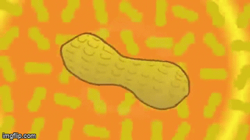 when no nut November ends - Imgflip