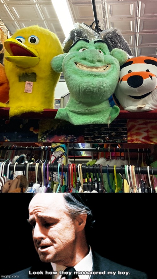 Shrek...NOOOOOOOOO - Imgflip