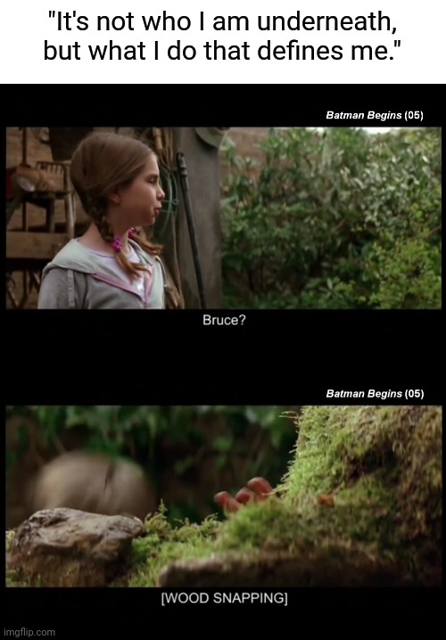 RACHEEEEEL! : r/NolanBatmanMemes