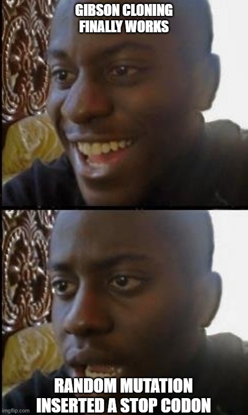 Disappointed black guy - Imgflip