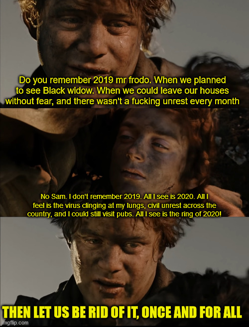 I can't carry it for you. But I can carry you. : r/lotrmemes