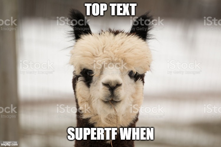 Imgflip