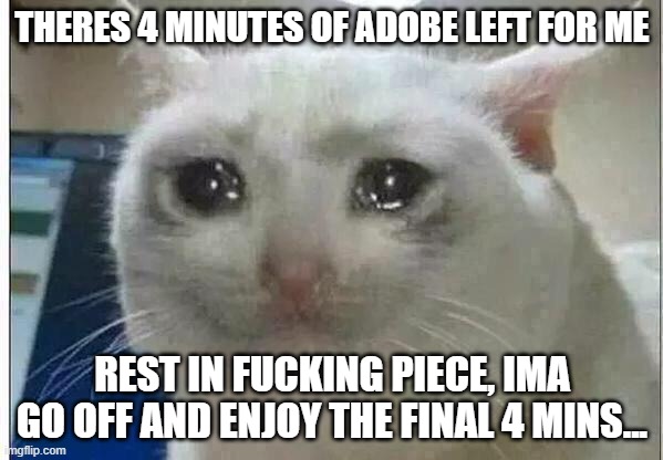 RIP ADOBE FLAAAAAAAASH - Imgflip