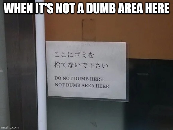 do not dumb here - Imgflip