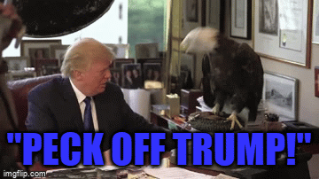 National Bird says... - Imgflip
