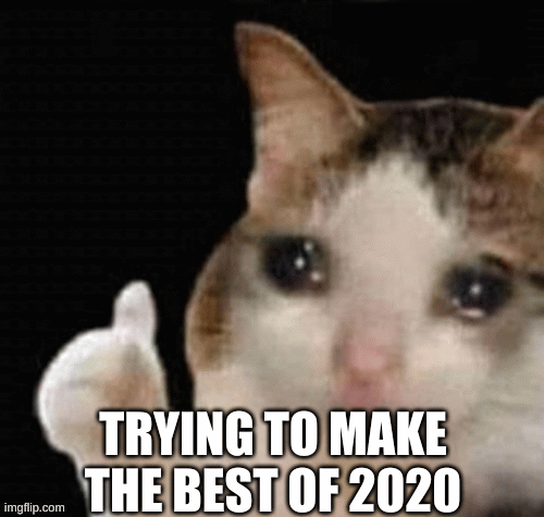 goodbye 2020 - Imgflip