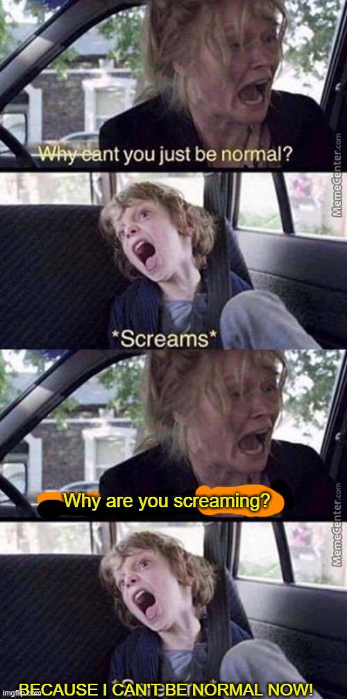 Why Cant You Be Normal Meme Template