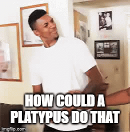 Black Guy Confused - Imgflip