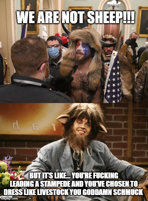 Image tagged in trump rioter,goat man - Imgflip