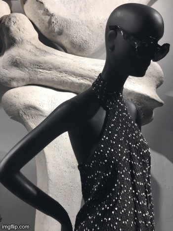 Bone-Shaking Bliss - Imgflip