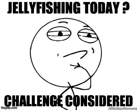 Image tagged in jellyfish - Imgflip