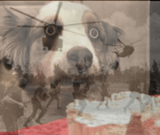 Ptsd Muffin Dog Blank Template Imgflip