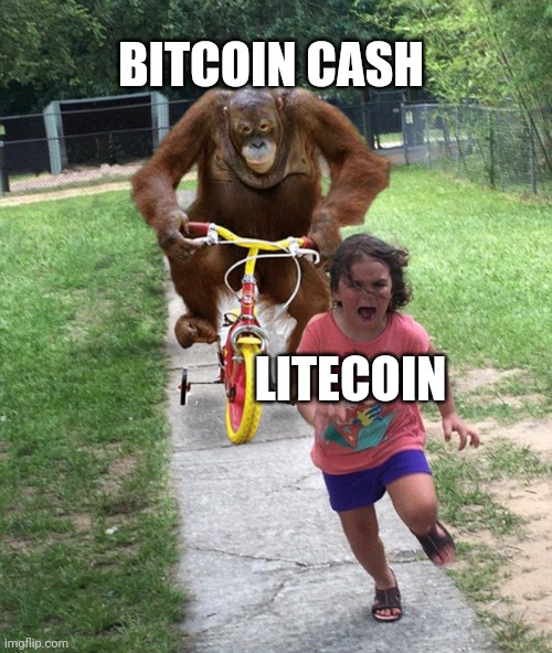 Look out Litecoin, BCH is coming! - Imgflip