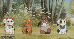 Tanuki dances - Imgflip