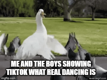 me and the boys showing tiktok what real dancing is - Imgflip