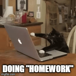 Doing "homework"... - Imgflip