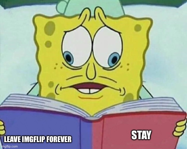 What do i do - Imgflip