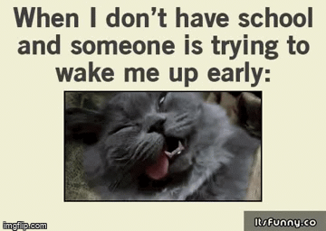 im not getting up - Imgflip