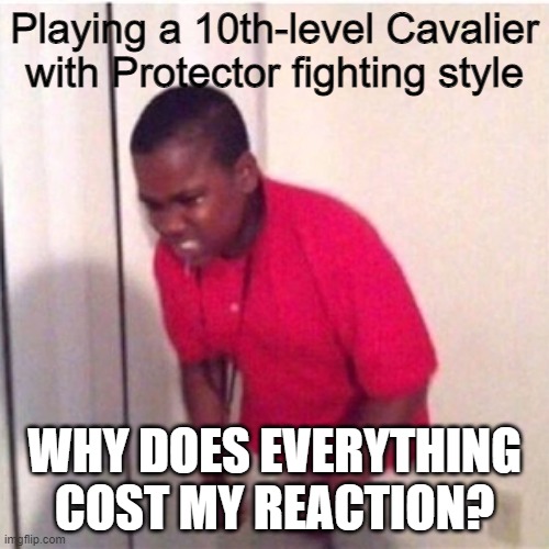 Playing a Defender role without full optimization : r/dndmemes