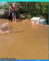 When You Throw Your Friends a Nope Rope - Imgflip