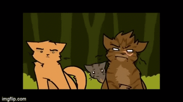 Cloudkit joining Thunderclan be like: - Imgflip