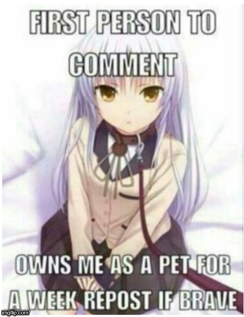 Why tf not suffer - Imgflip