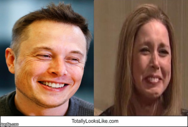 Totally Looks Like - Imgflip