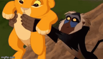 The lion thing - Imgflip