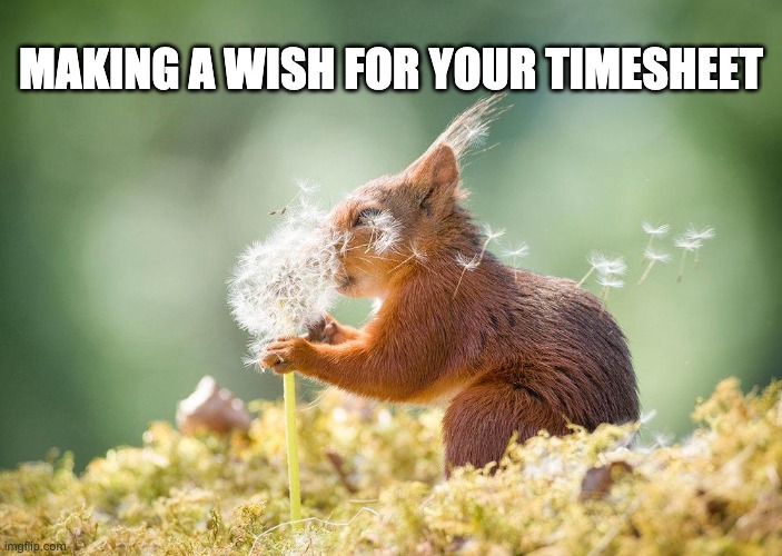Timesheet Reminder Memes GIFs Imgflip Timesheet Reminder Memes GIFs Imgflip