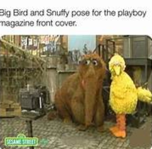for years i thought snuffy was a mammoth *wheeze* - Imgflip