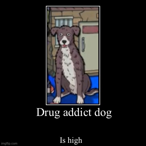 Dog is high - Imgflip