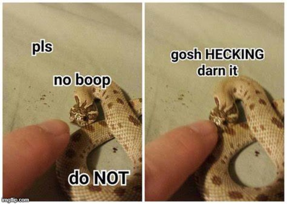 another smol snek -v- - Imgflip