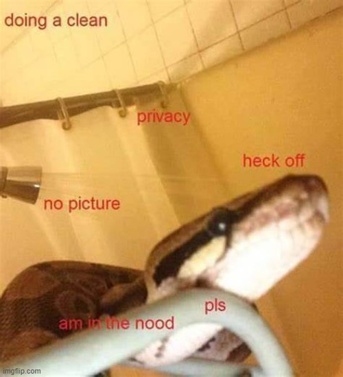 o no leave le smol snek alone - Imgflip