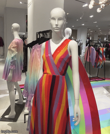 Rubin Rainbow Dresses - Imgflip