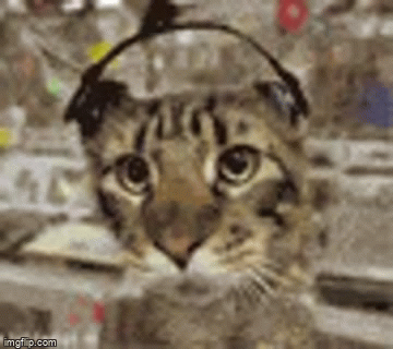 SUPER CAT - Imgflip