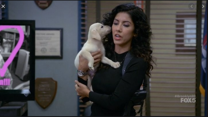 I've only had Blank Template - Imgflip