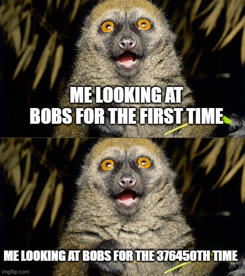 oOoh BOBS! - Imgflip