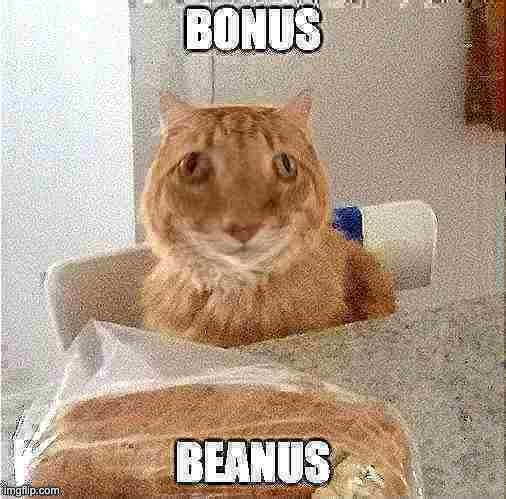 Bonus Beanus - Imgflip