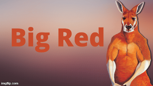 Big Red Pokie GIF - Imgflip
