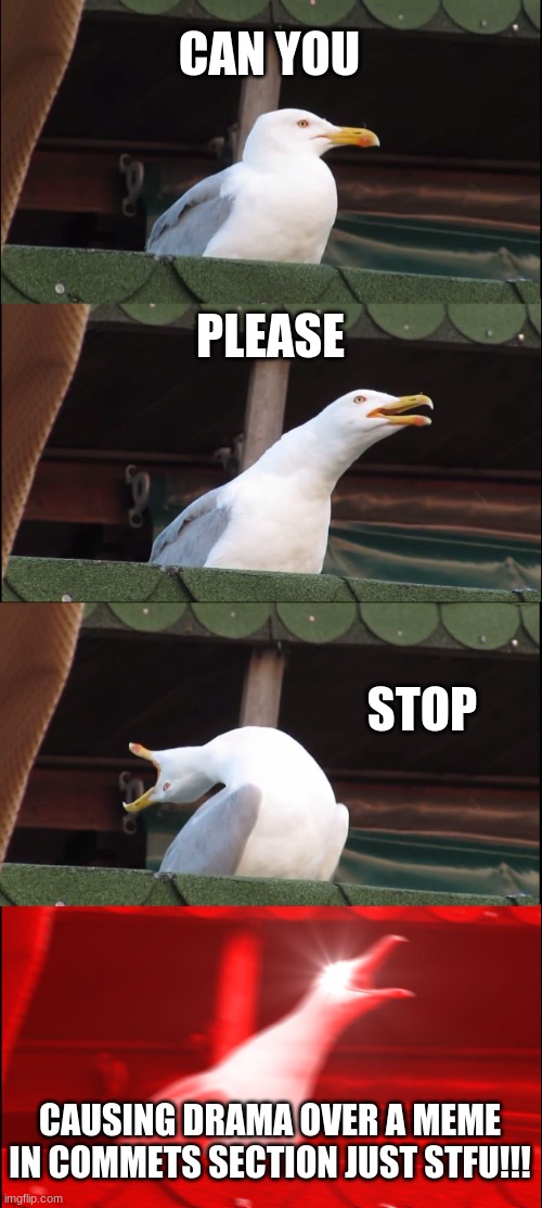 Inhaling Seagull Meme - Imgflip