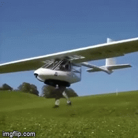 A plane with legs... - Imgflip