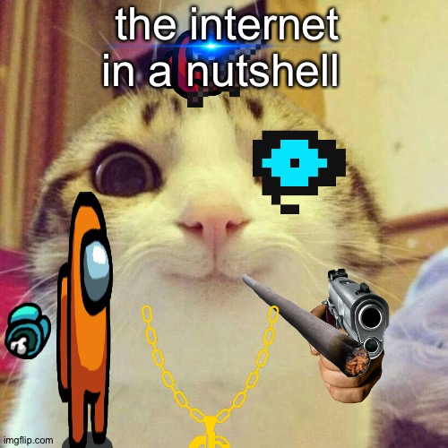 the internet in a nutshell - Imgflip
