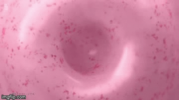 Animated GIF - Imgflip