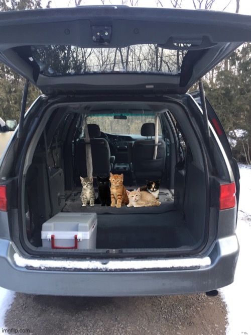 Van Conversion - Imgflip