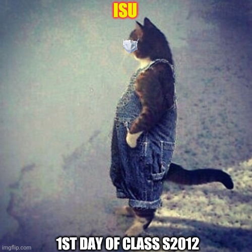 What is it - Imgflip