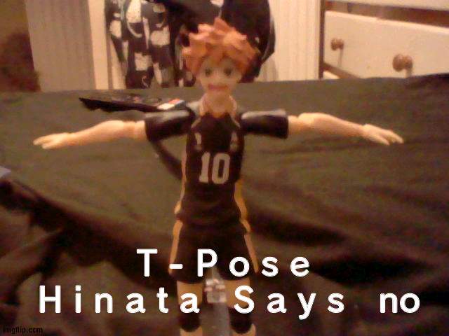 T-pose hinata Blank Template - Imgflip